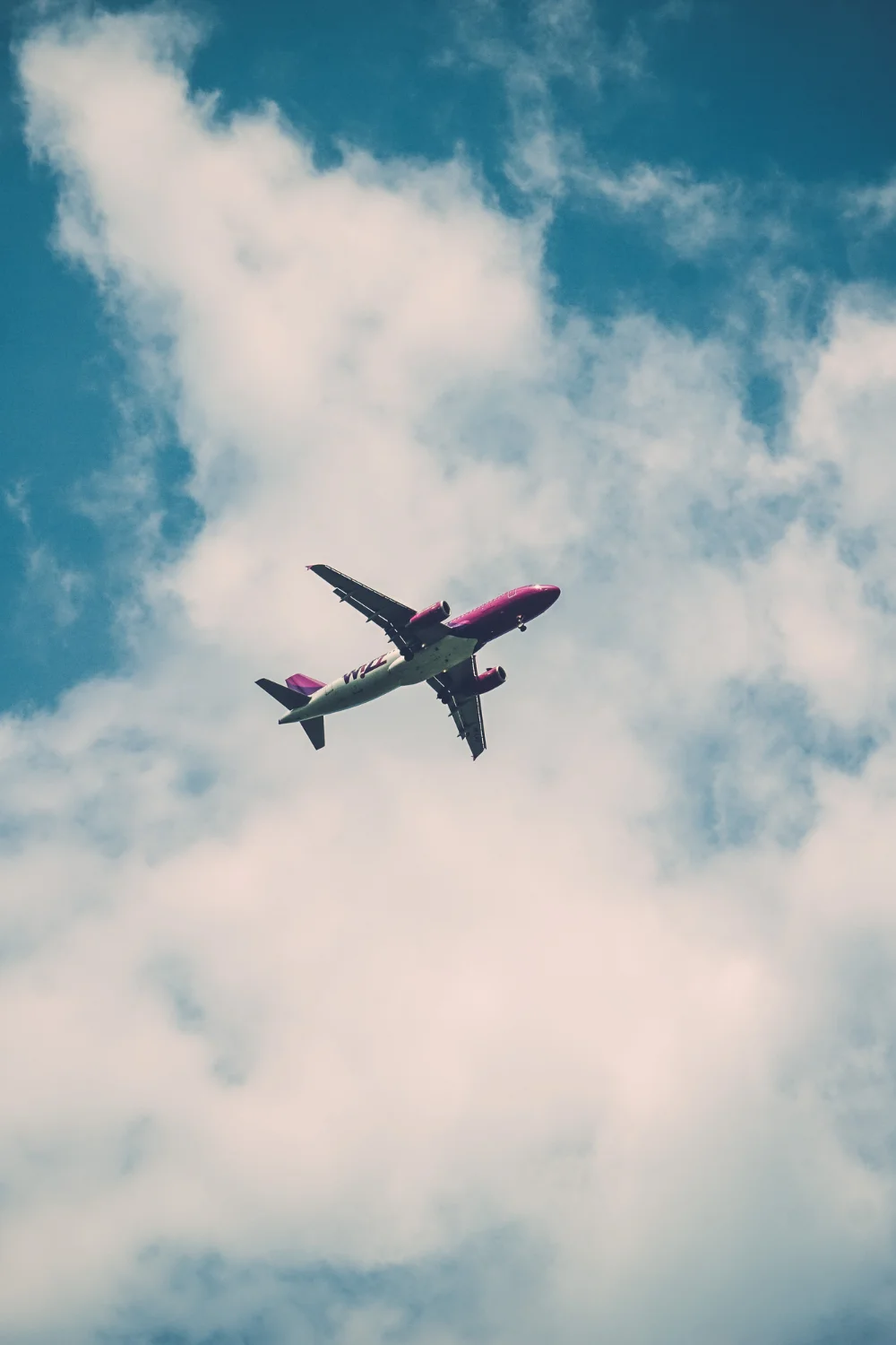 What Is a Flight Risk?: Understanding Bail Denial Factors - Rocket Bail ...