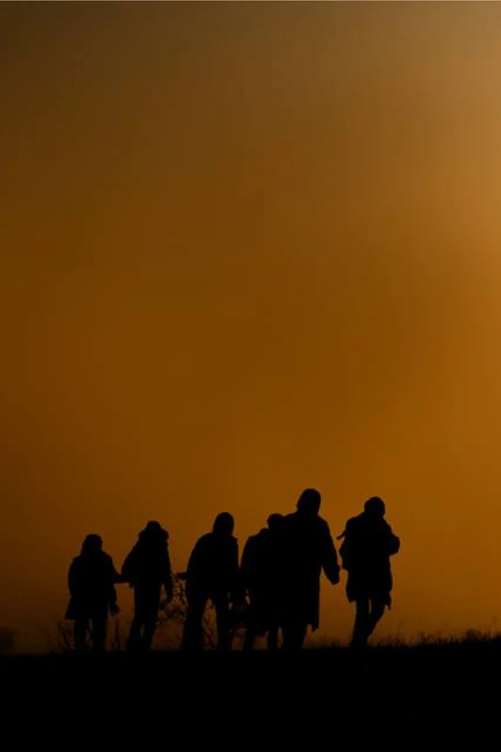 Immigration Bonds: A Complete Guide to Types, Costs & Process - Rocket ...